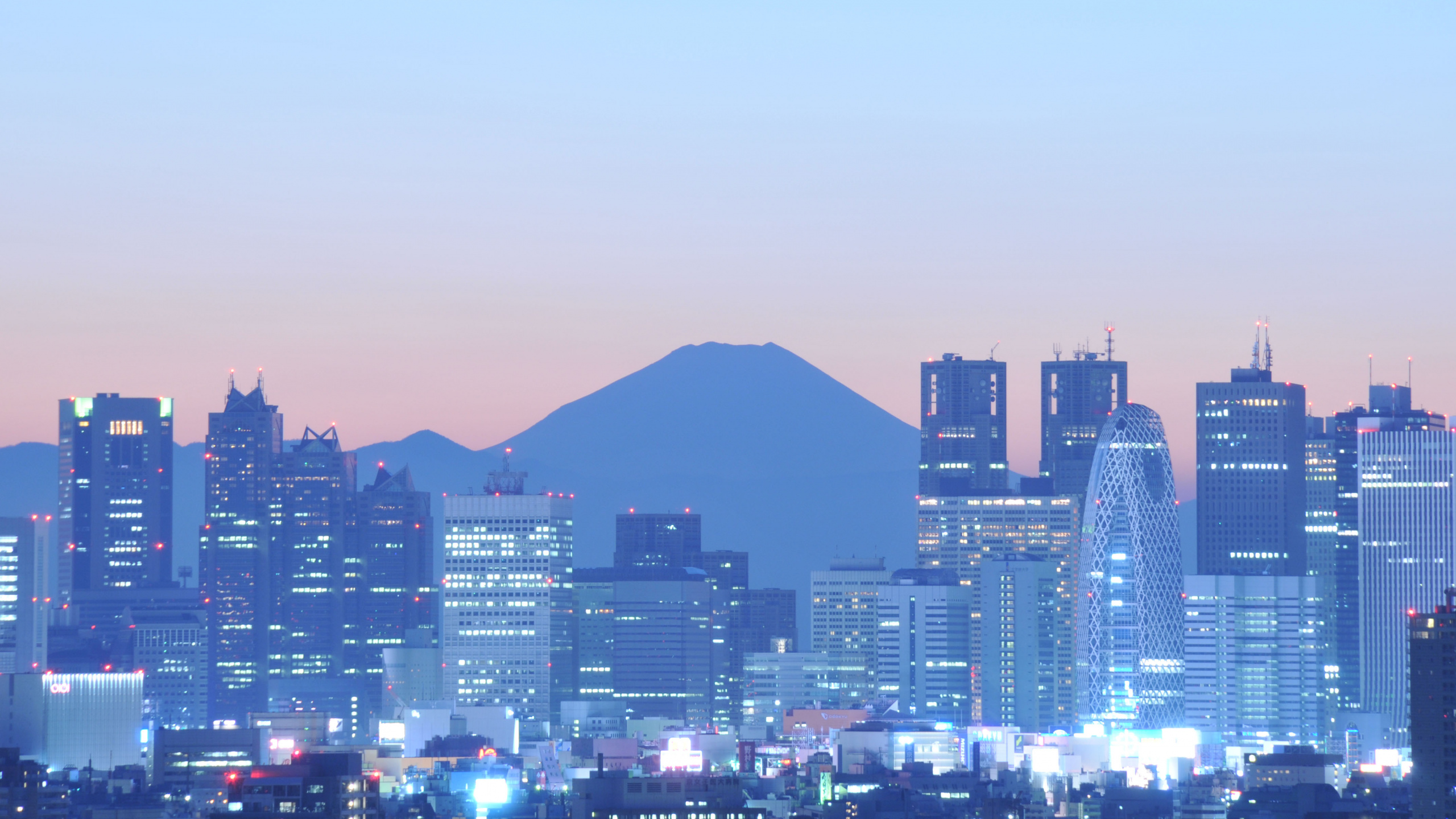 {新宿, 富士山, 城市景观, 城市, 大都会 WQHD, QHD, 16:9 壁纸，2560x1440 市 图片，桌面背景和图片。
