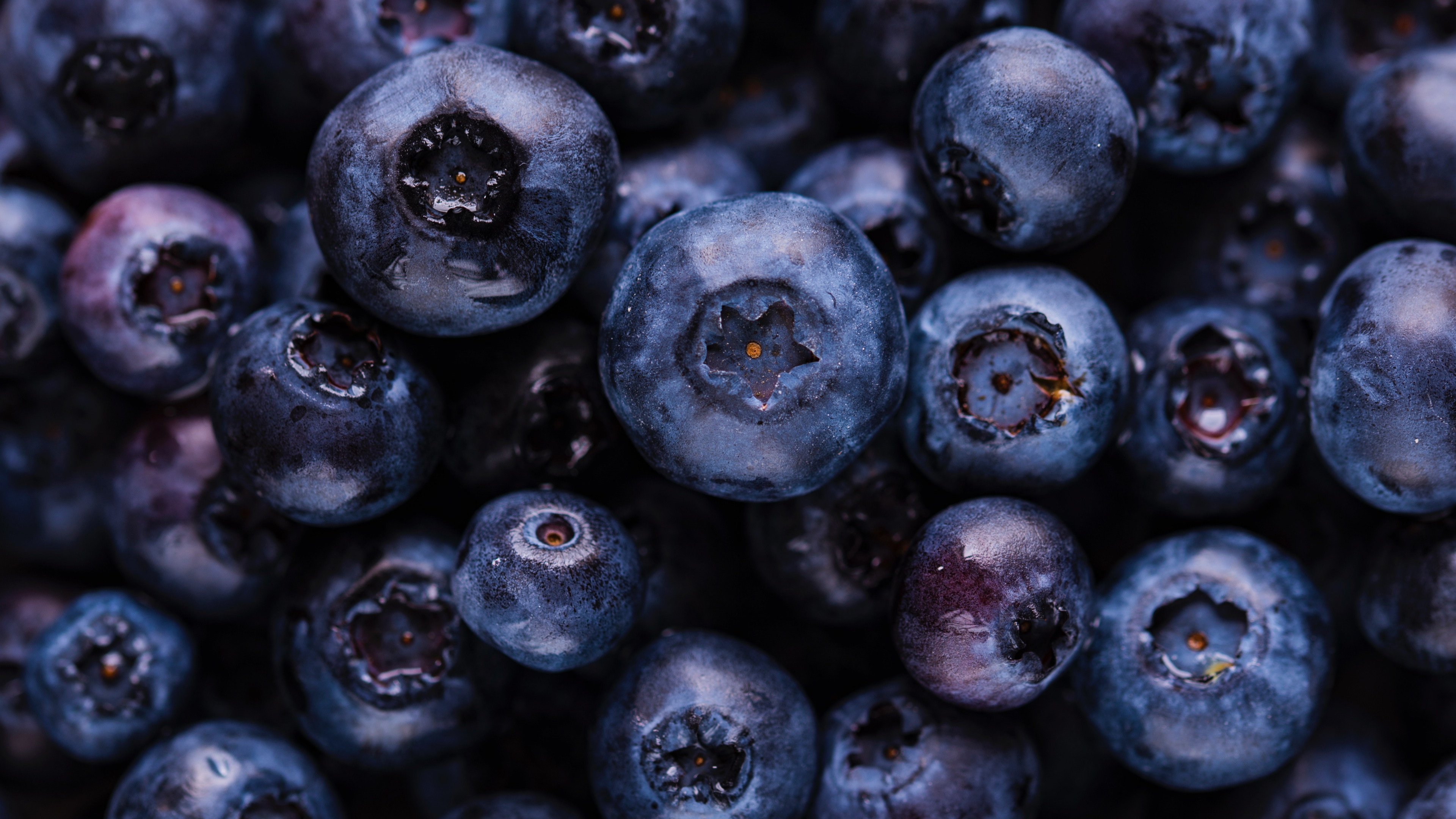 Kostenlose Hintergrundbilder Lila Runde Frucht in Nahaufnahmen 4K Ultra ...