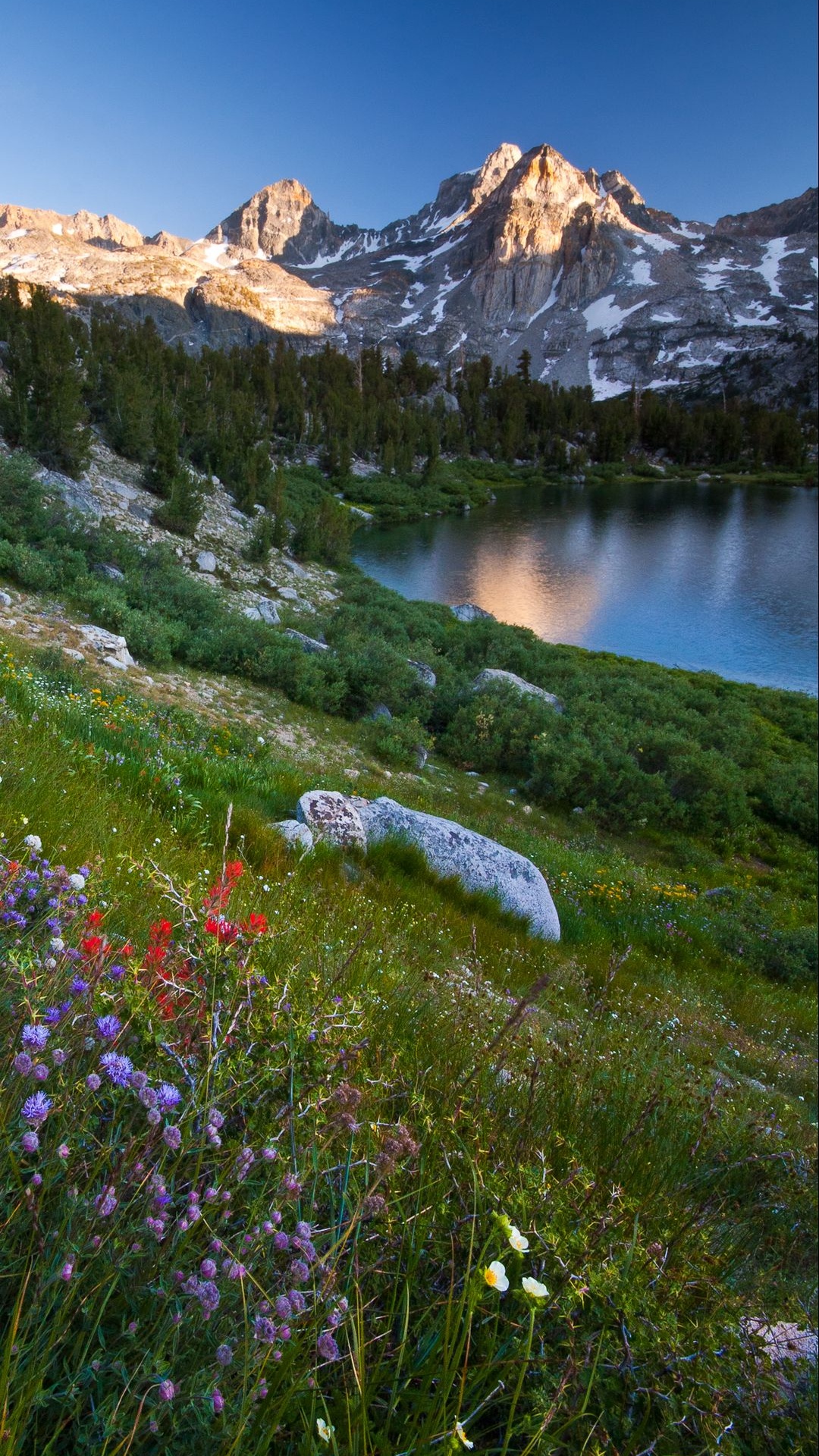 Nature, Tablet, Flower, Plant, Mountain Wallpaper for Android [Full HD ...