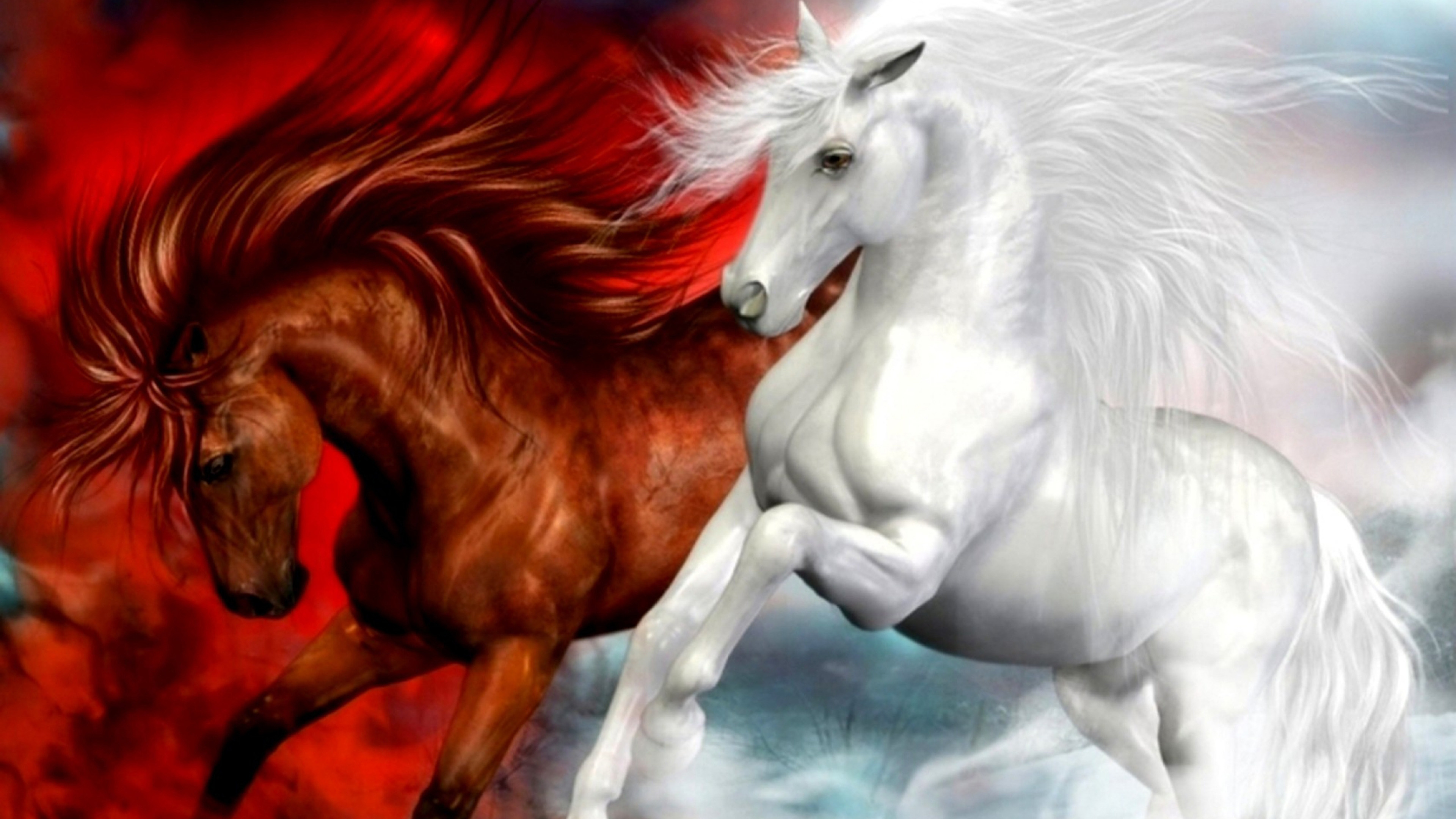 Les Fonds D’écran Cheval Blanc Aux Cheveux Bruns 4K Ultra HD Gratuits ...
