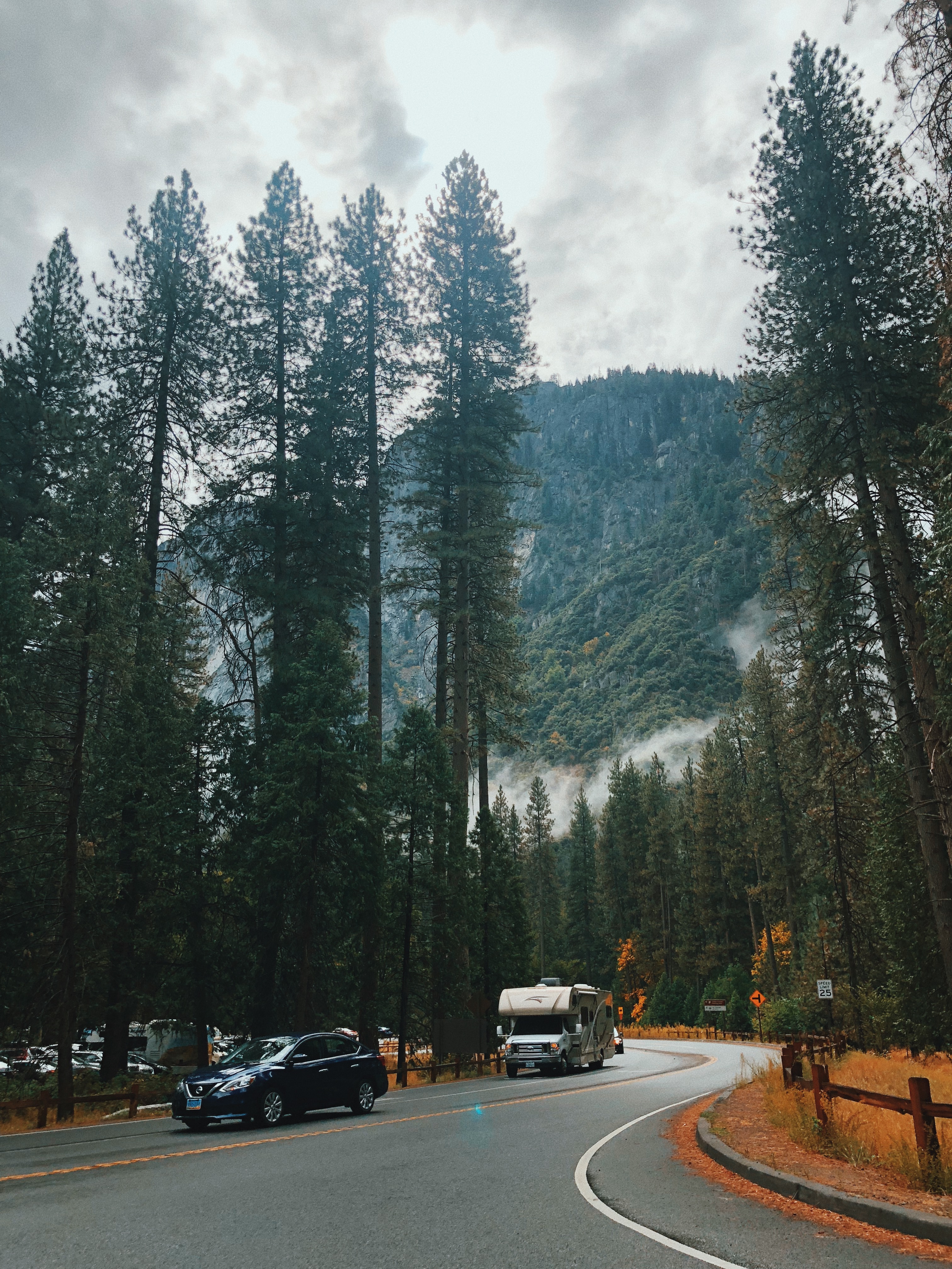 Kostenlose Hintergrundbilder Natur, Nadelbaum, Road, Baum, Automotive ...