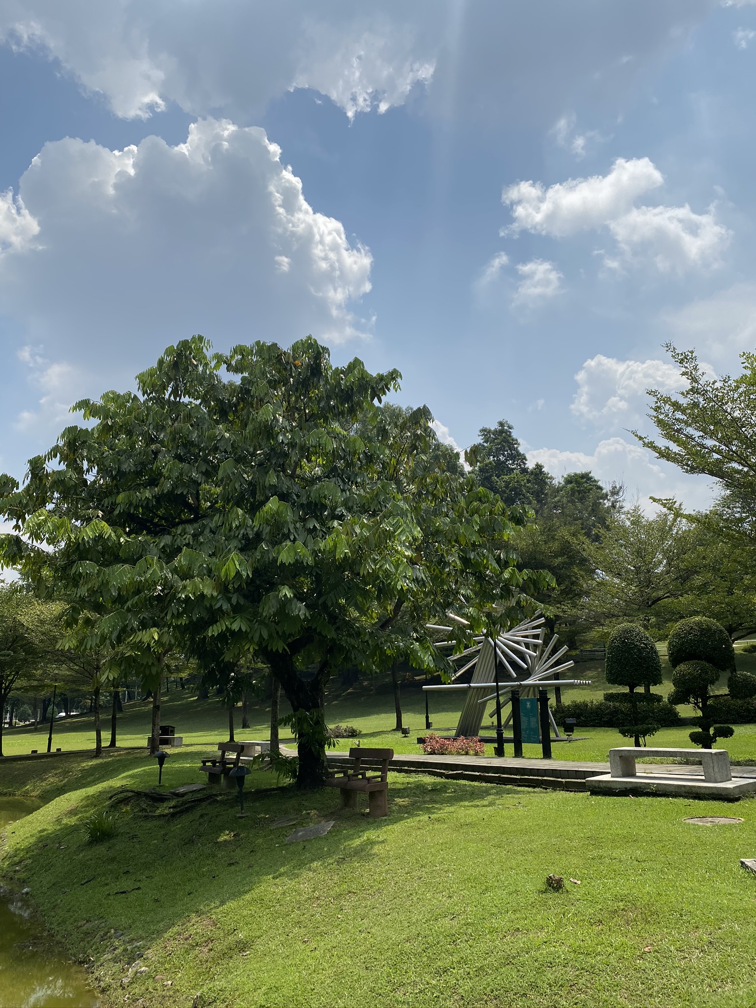 Les Fonds D’écran Parc, Garden, Cumulus, Pelouse, L'aménagement ...