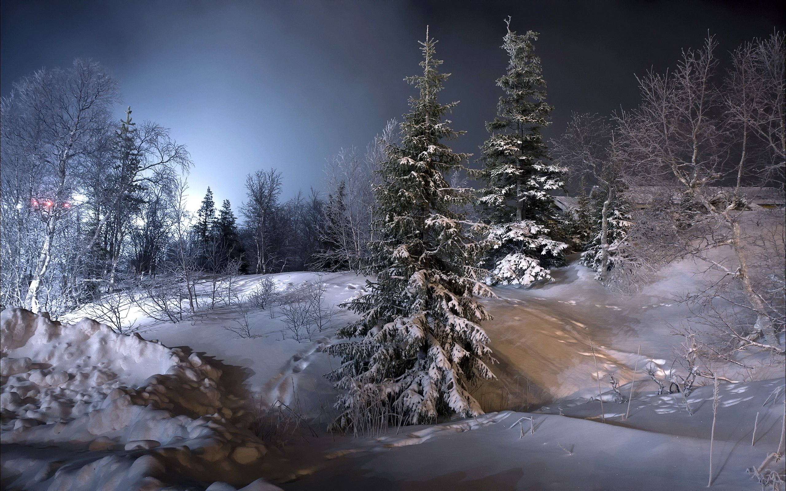 Wallpaper Snow Covered Pine Trees During Daytime, Background - Download ...
