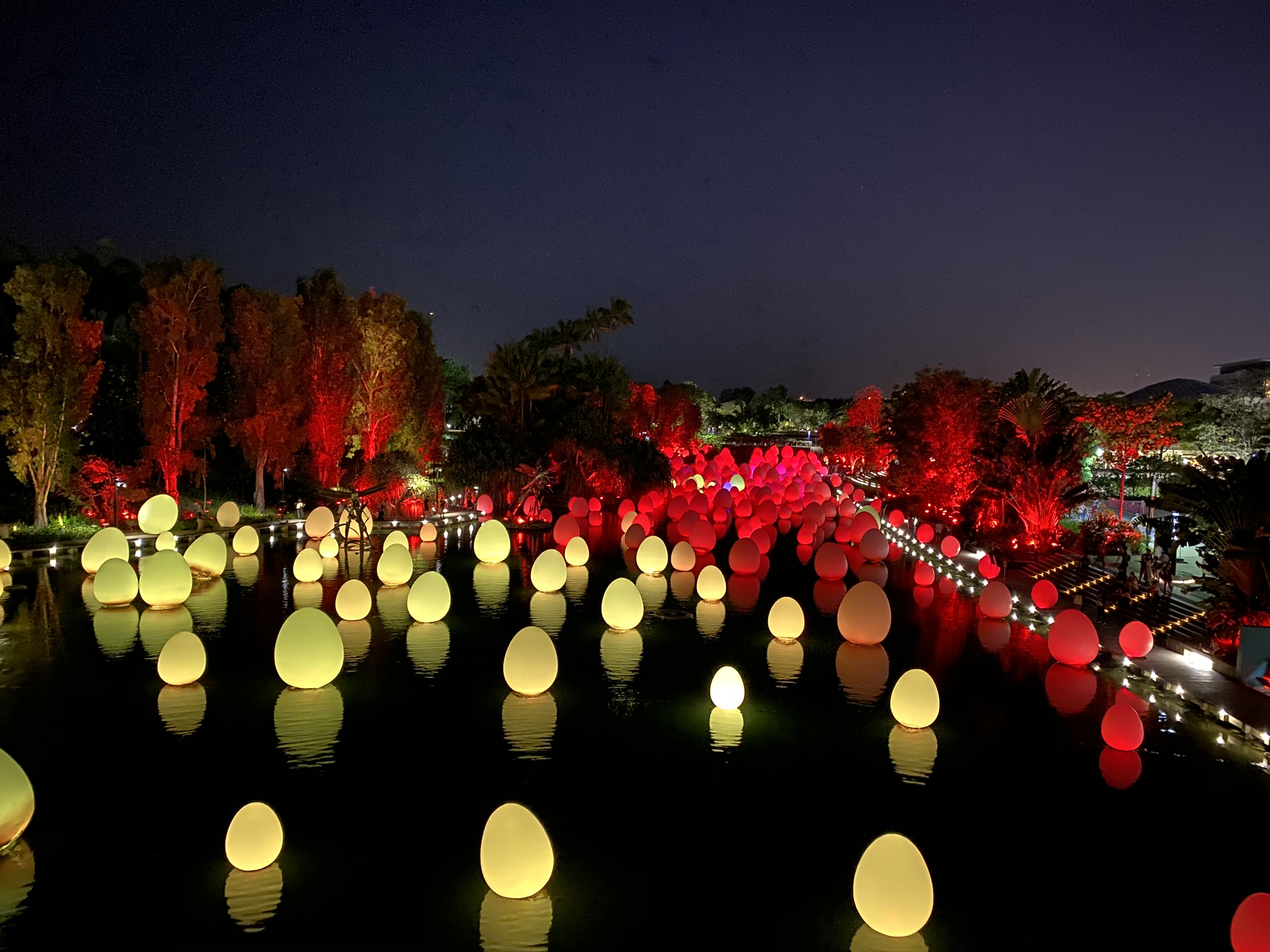 Wallpaper Singapore, Nature, Landscape Lighting, Night, Red, Background ...