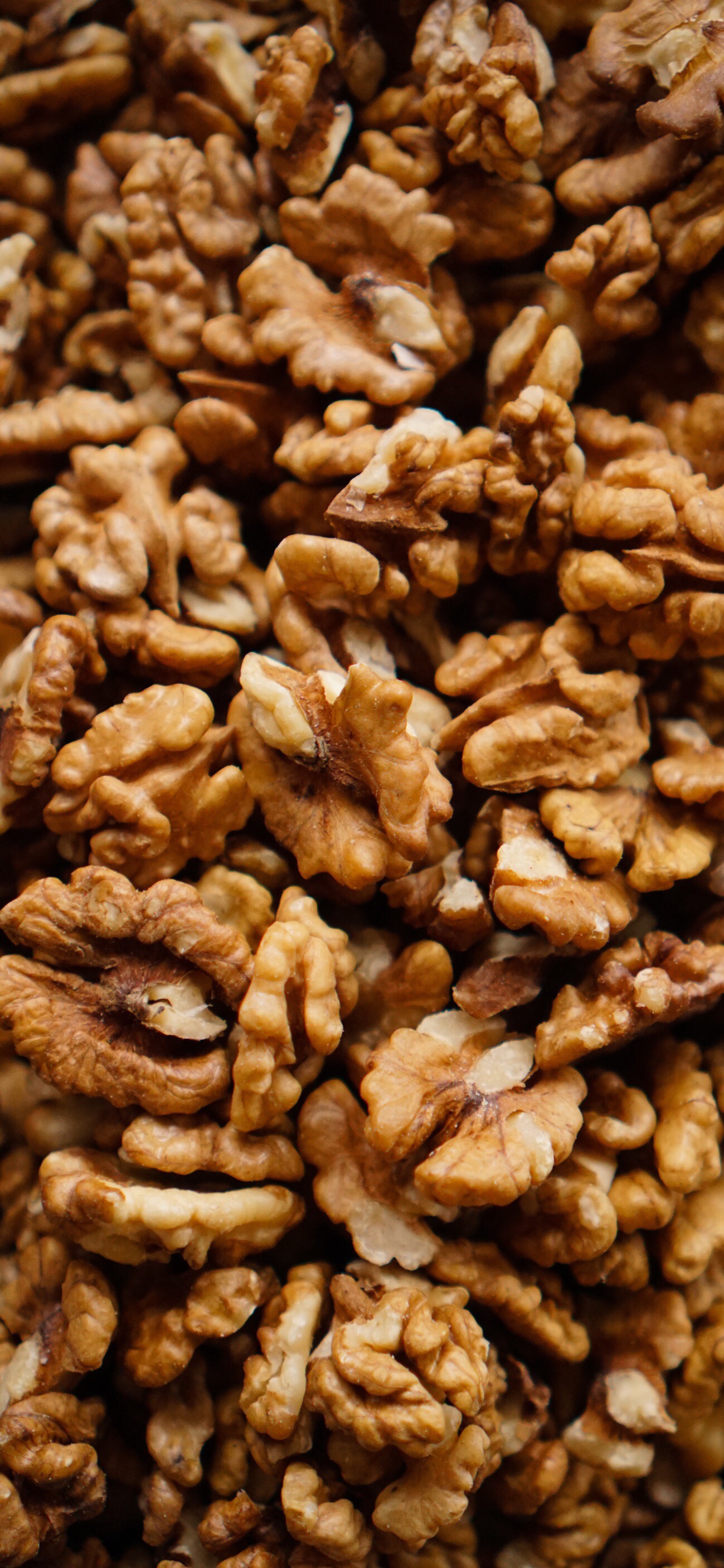 Wallpaper Walnut, Food, Plant, Ingredient, Natural Foods, Background ...