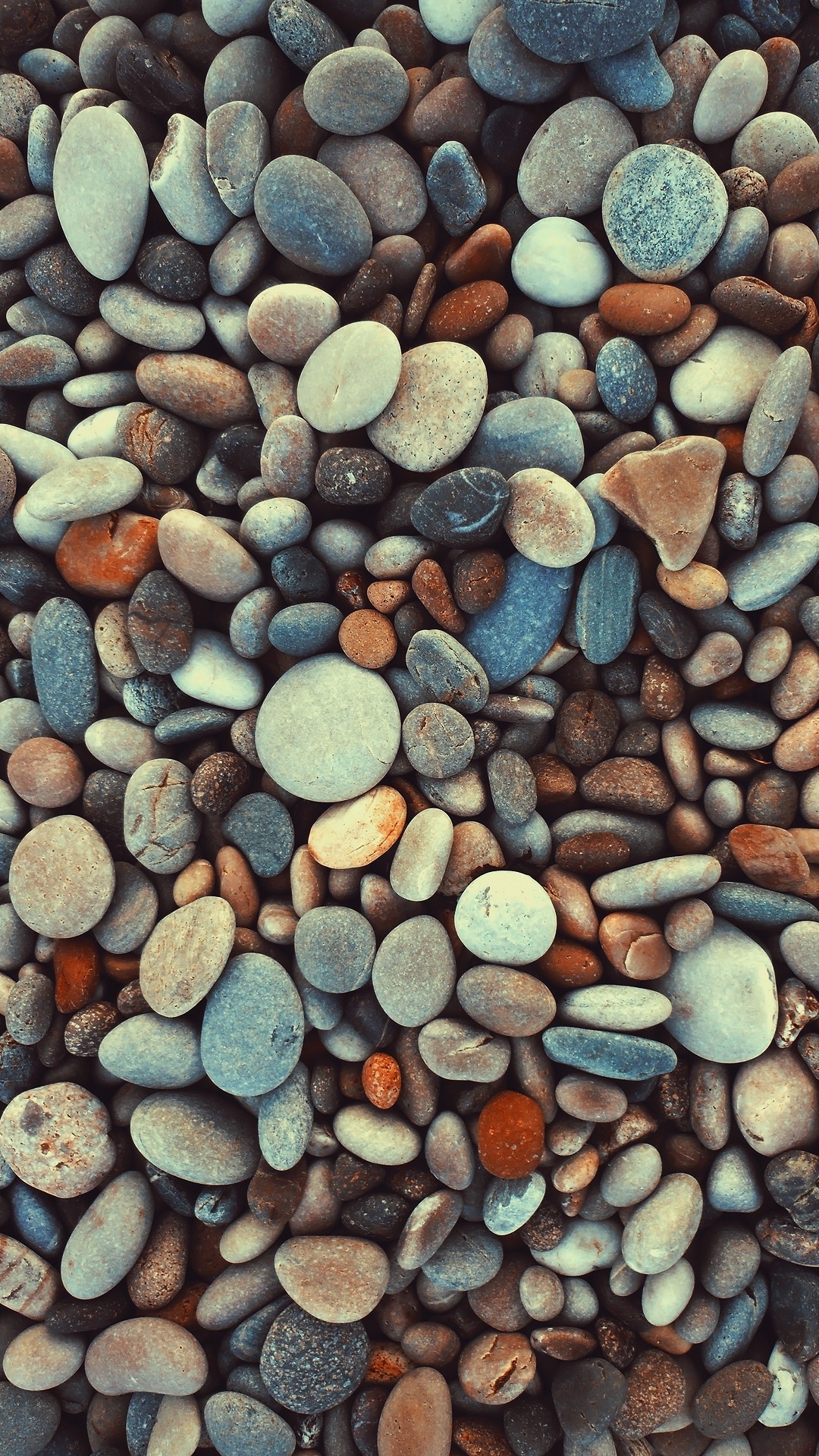 Wallpaper Pebble, Gravel, Rock, Cobblestone, Plant, Background ...