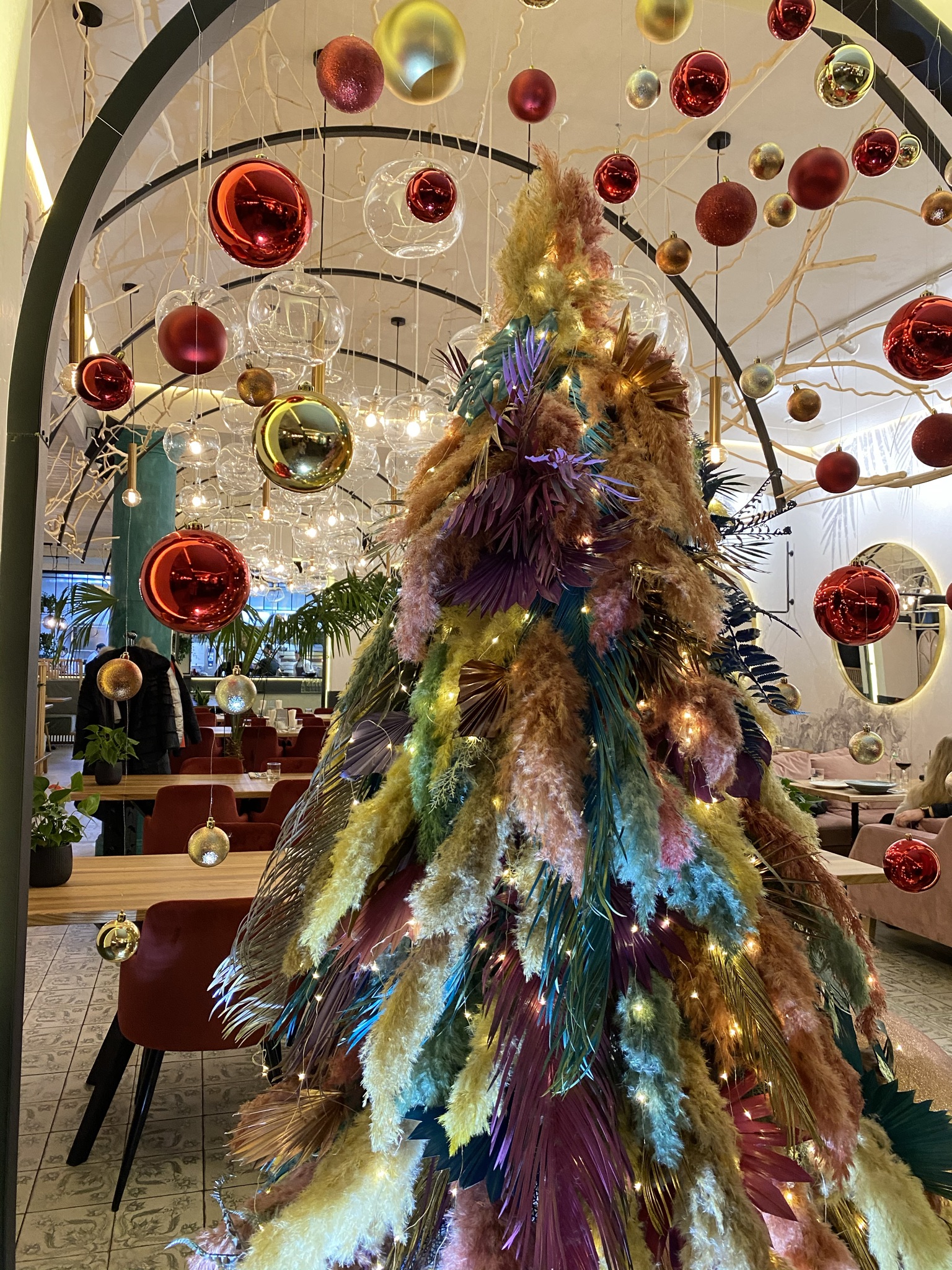 Wallpaper Christmas Tree, Christmas Day, Tree, Science, Biology ...