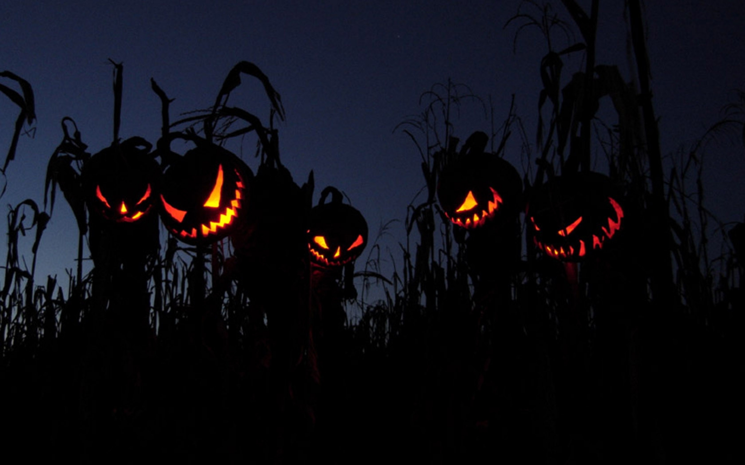 Les Fonds D’écran Halloween Horror Nights, Obscurité, Nuit, Minuit ...