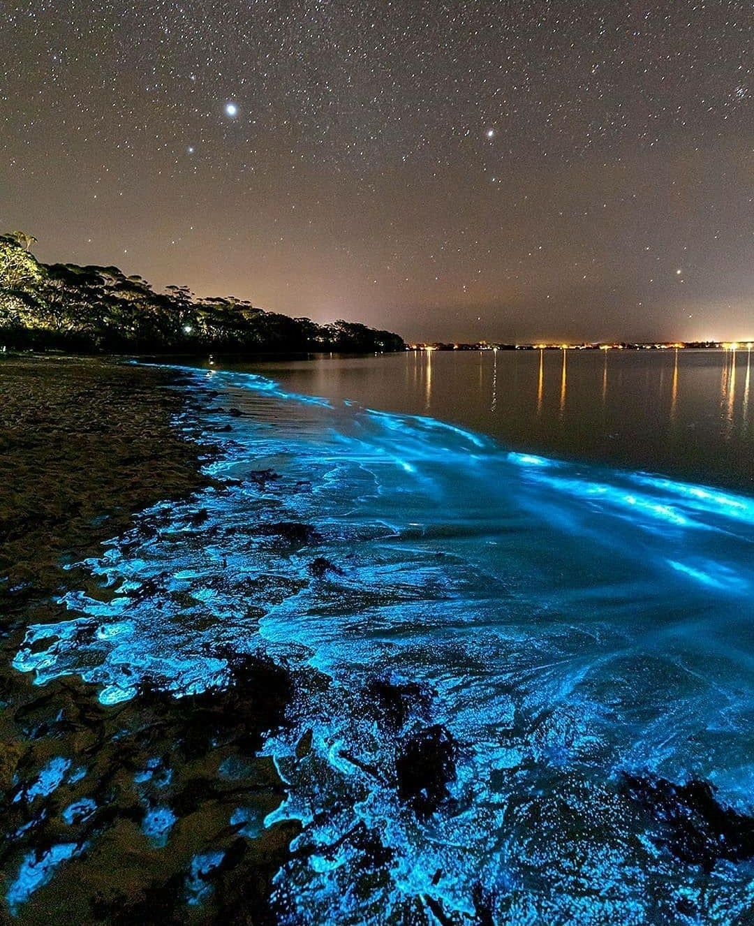Fondos de Pantalla Océano Bioluminiscente, Brillo Del Mar, la ...