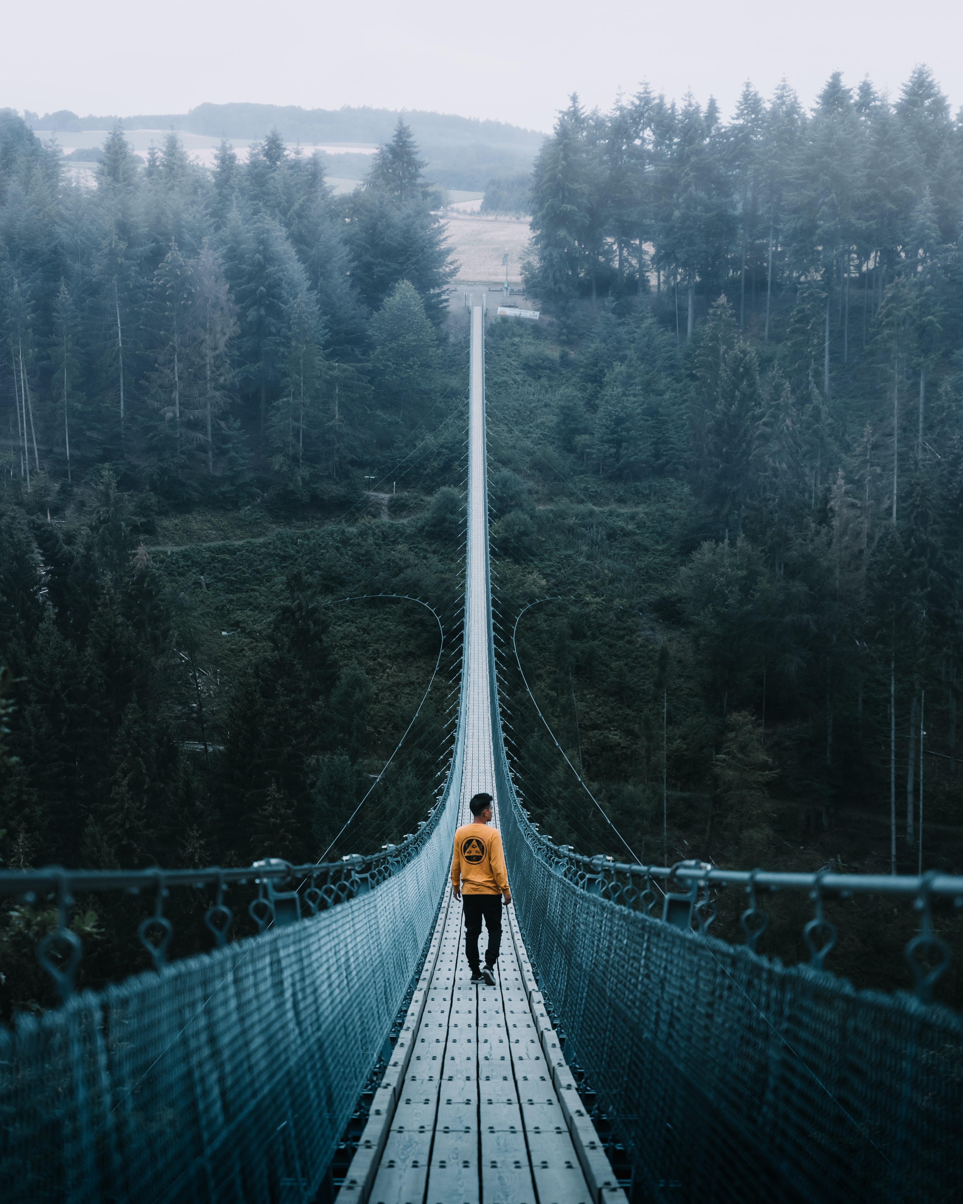 Kostenlose Hintergrundbilder Grüne Brücke Über Grüne Bäume, Bilder Für ... Kostenlose Hintergrundbilder Grüne Brücke Über Grüne Bäume, Bilder Für ...
