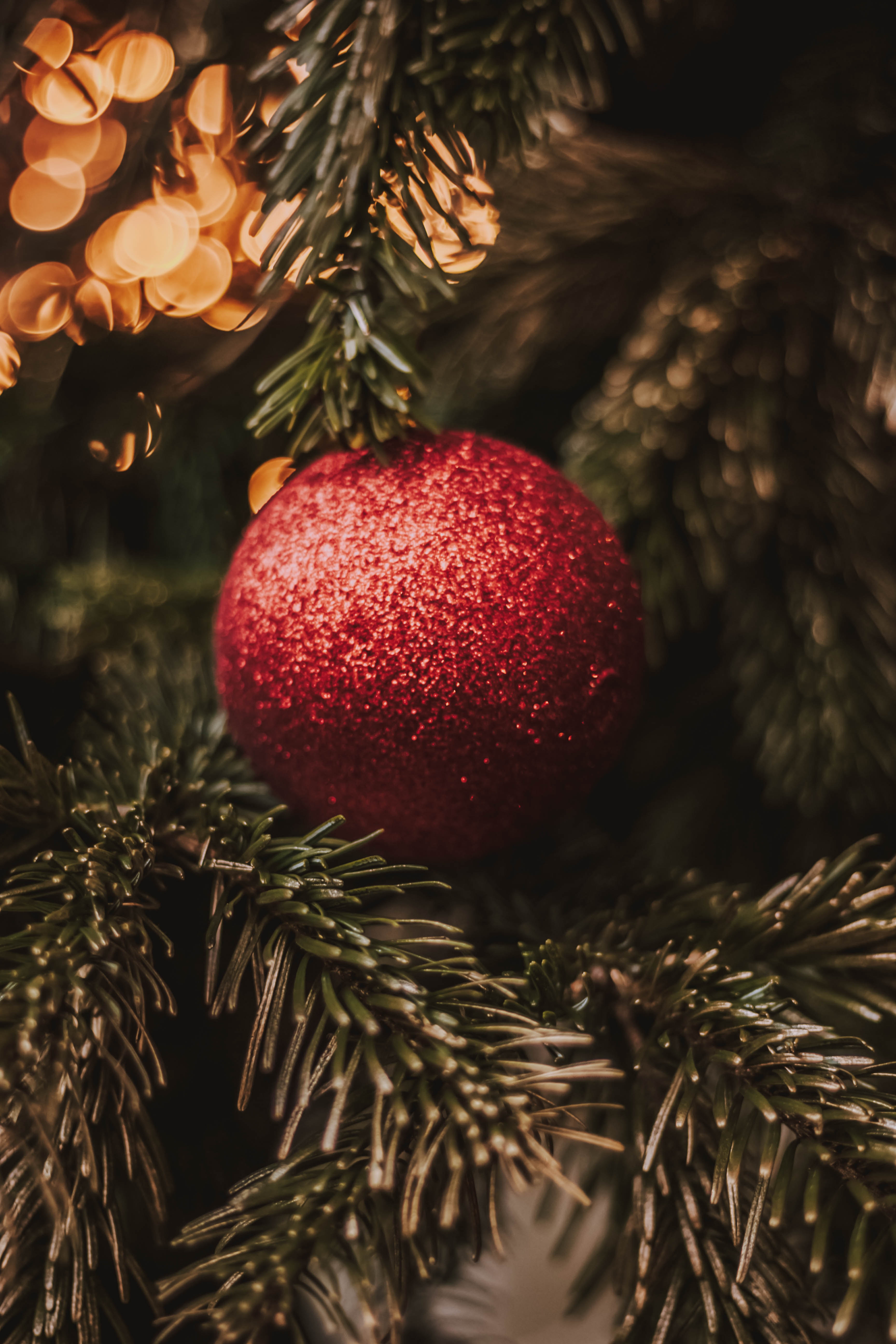 Wallpaper Christmas Day, New Year, Christmas Ornament, Christmas, Tree ...