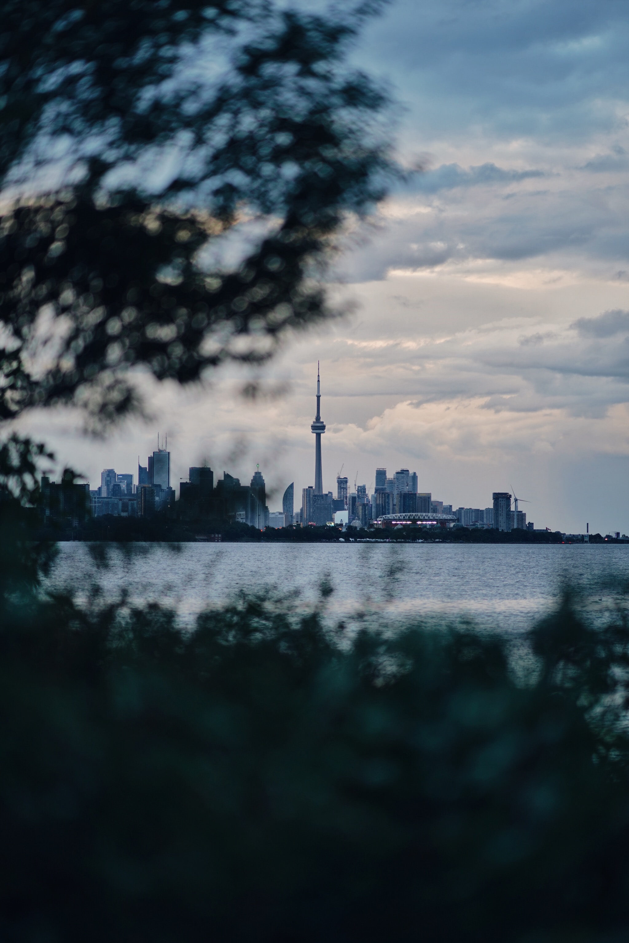Wallpaper City Skyline Across Body of Water During Daytime, Background ...
