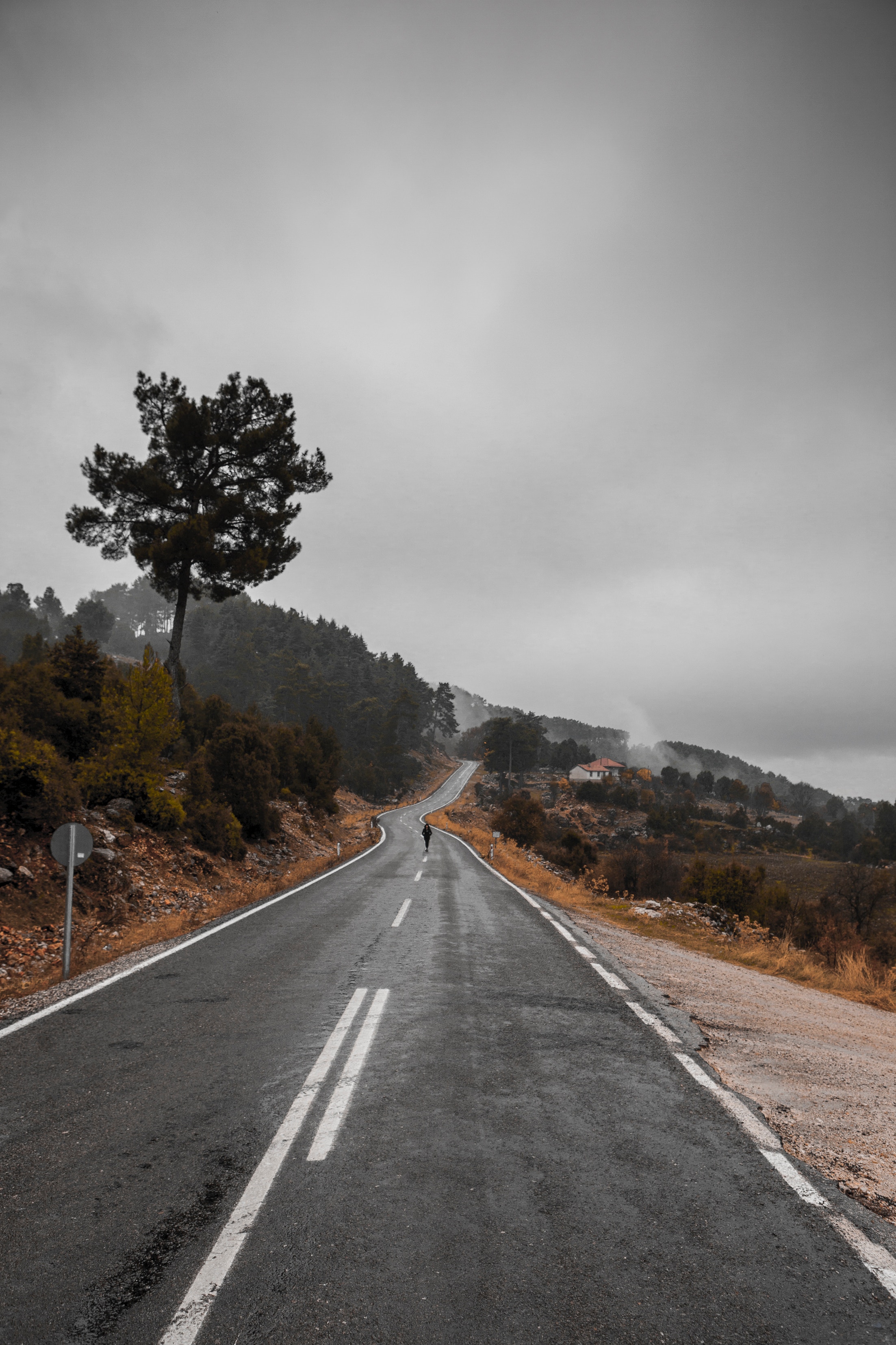 Wallpaper Road, Highway, Asphalt, Lane, Tree, Background - Download ...