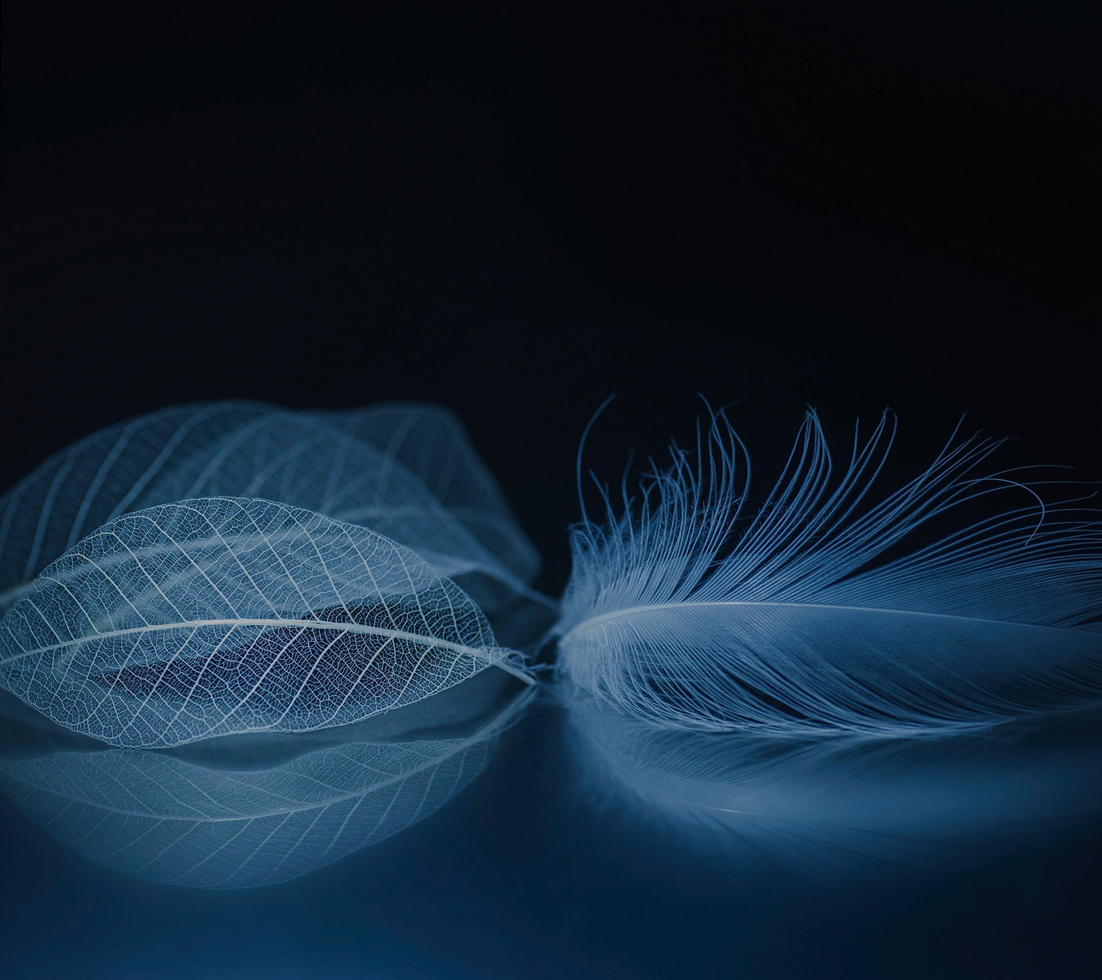 Wallpaper ZTE, ZTE Axon M, Zte Axon, Zte Axon 10 Pro, Smartphone ...