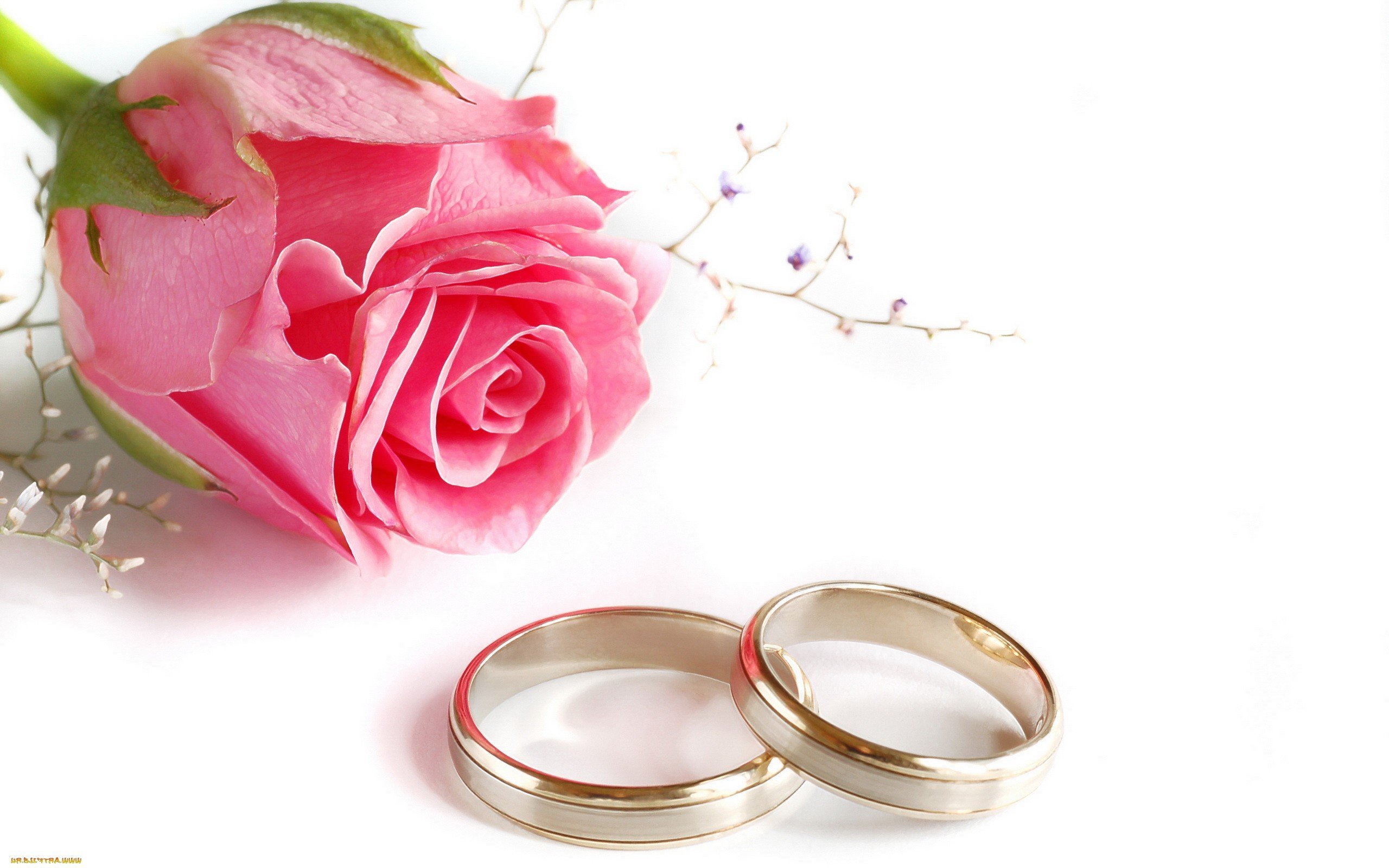 wedding flower ring background
