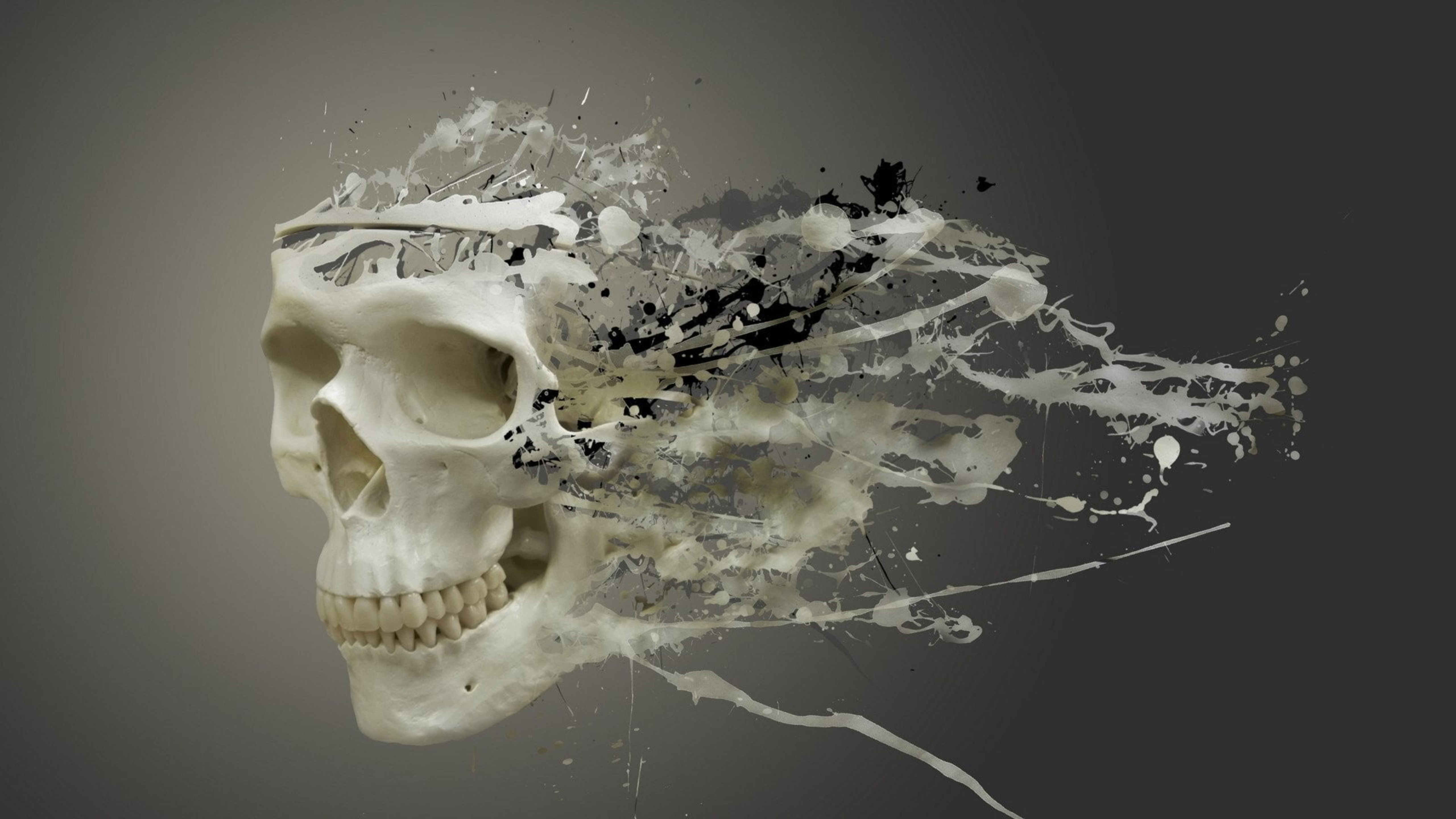 human head skeleton wallpaper