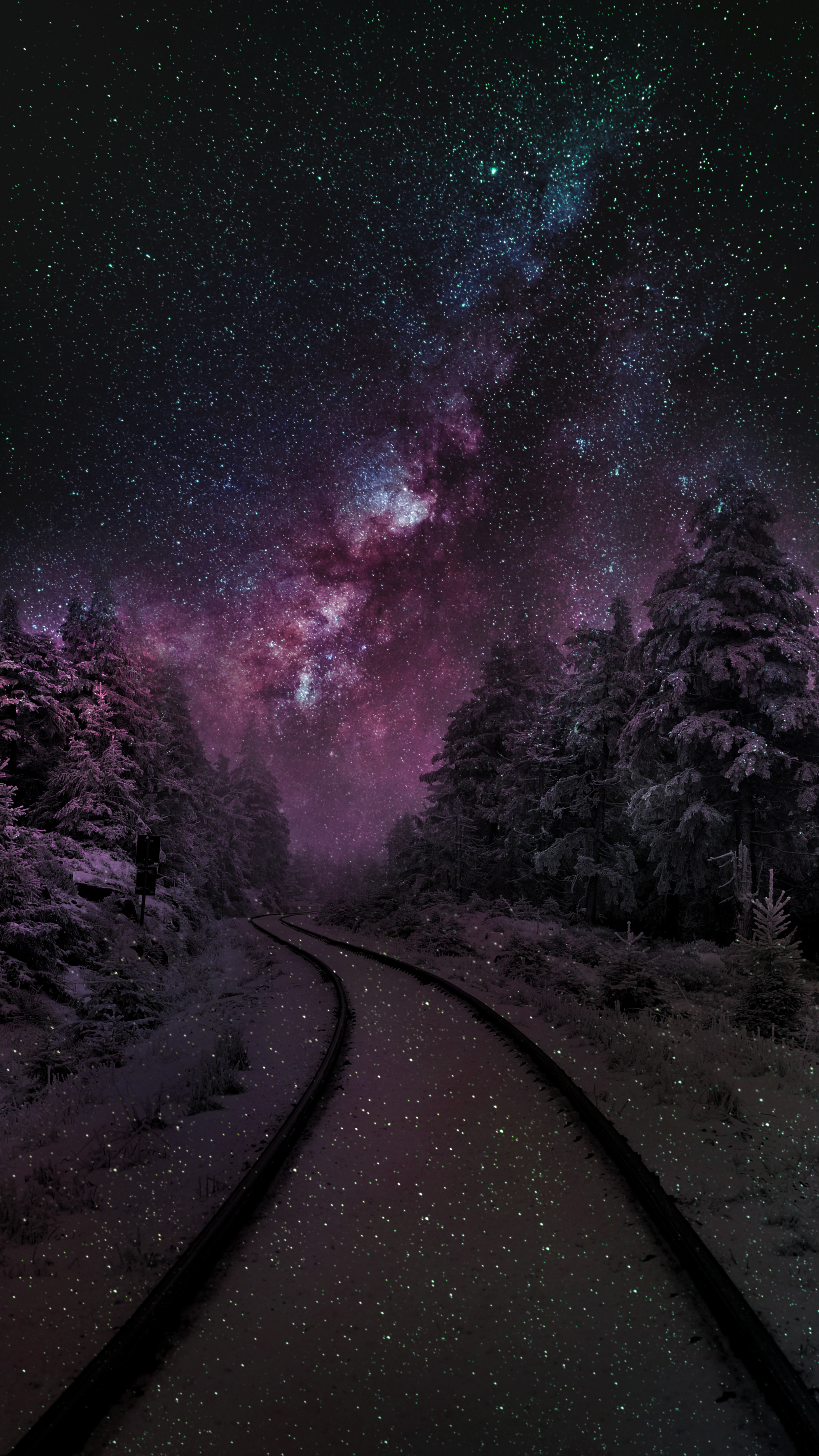 Wallpaper Nature Beauty Purple