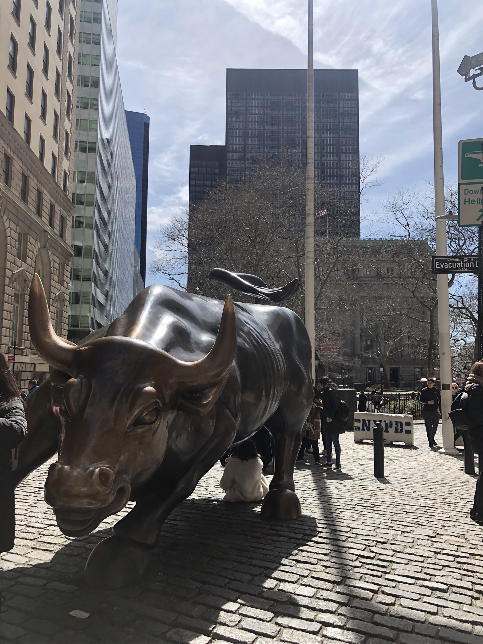 Charging Bull Wallpaper