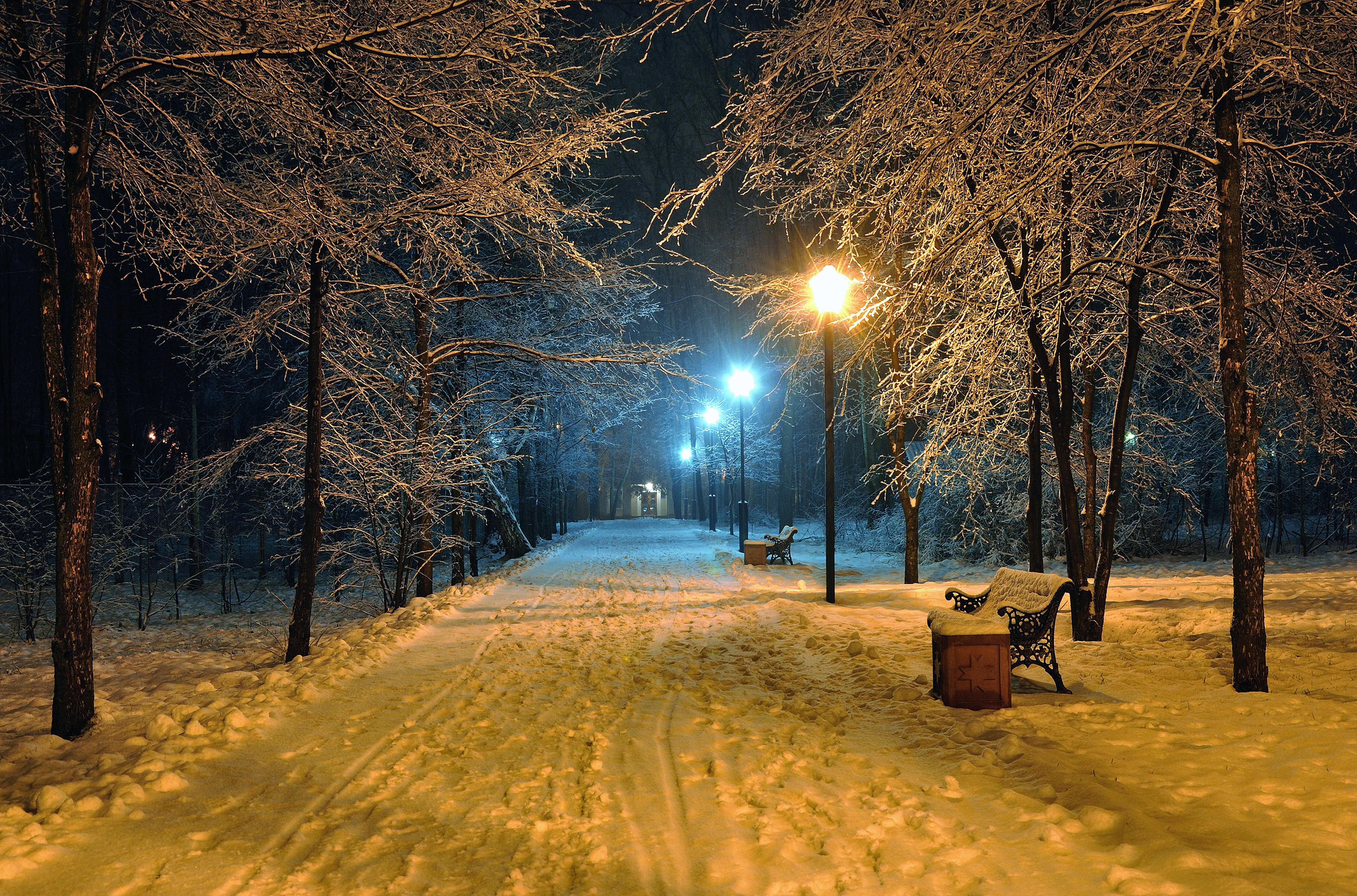 Bench Night Wallpaper