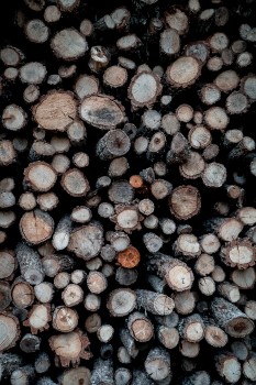 Wallpaper Brown and Gray Wood Logs, Background - Download Free Image