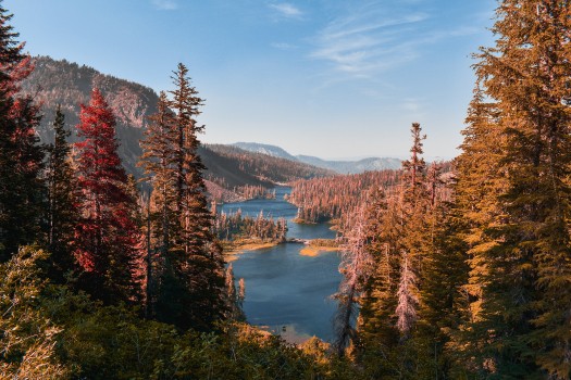 Wallpaper Wilderness, Tree, Desert, Twin Lakes, Natural Landscape ...