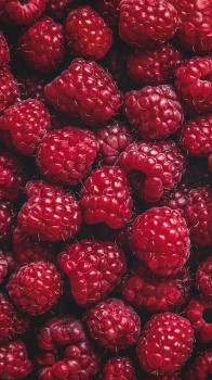 Les Fonds D’écran Les Aliments Naturels, Boysenberry, Framboise, Rouge ...