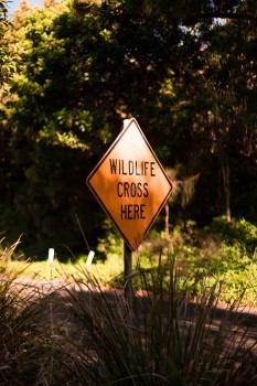 Wallpaper Brown and White Road Sign, Background - Download Free Image