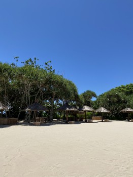 Wallpaper Water, Sand, Shade, Beach, Tropics, Background - Download ...