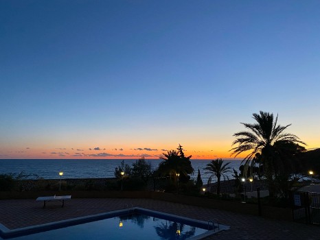 Wallpaper Palm Trees, Water, Real Estate, Dusk, Sunset, Background ...