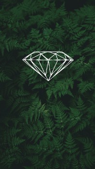 Wallpaper Leaf, Diamond, Plant, Branch, Tree, Background - Download ...
