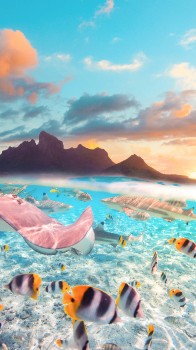 Wallpaper Bora Bora Sea Life, Moorea, Tahiti, Society Islands, Huahine-iti, Background ...