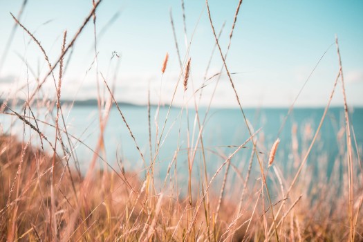 Wallpaper Water, Nature, Natural Landscape, Grass, Blue, Background ...