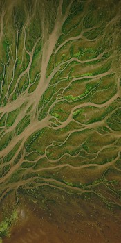 Wallpaper ZTE, ZTE Blade V9, Vegetation, Android, Green, Background ...