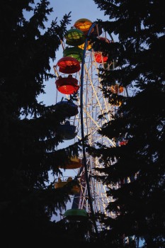 Wallpaper Green Pine Tree With Red Baubles, Background - Download Free ...