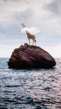 Wallpaper Stone on The Sea, Water, Sea, Rock, Beach, Background ...