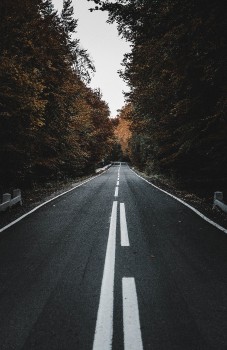 Wallpaper Road, Black, Asphalt, Lane, Tree, Background - Download Free ...