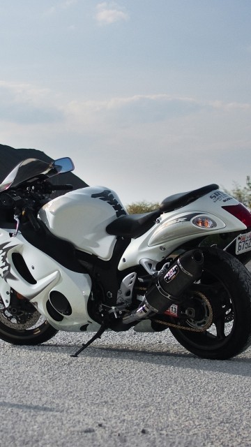 White Hayabusa Wallpaper