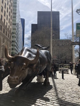 Fondos de Pantalla la Ciudad de Nueva York, Un Toro al Ataque, Estatua ...