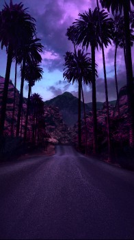 Wallpaper Tree, Light, Colored, Cloud, Plant, Background - Download ...