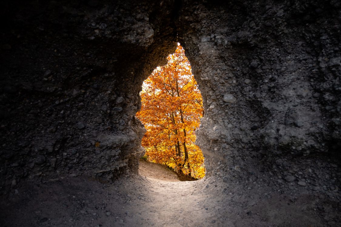 Wallpaper Yellow, Rock, Darkness, Metal, Trello, Background - Download ...