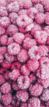 Les Fonds D’écran Framboise, Pastèque, Fruits, Fraise Framboise ...